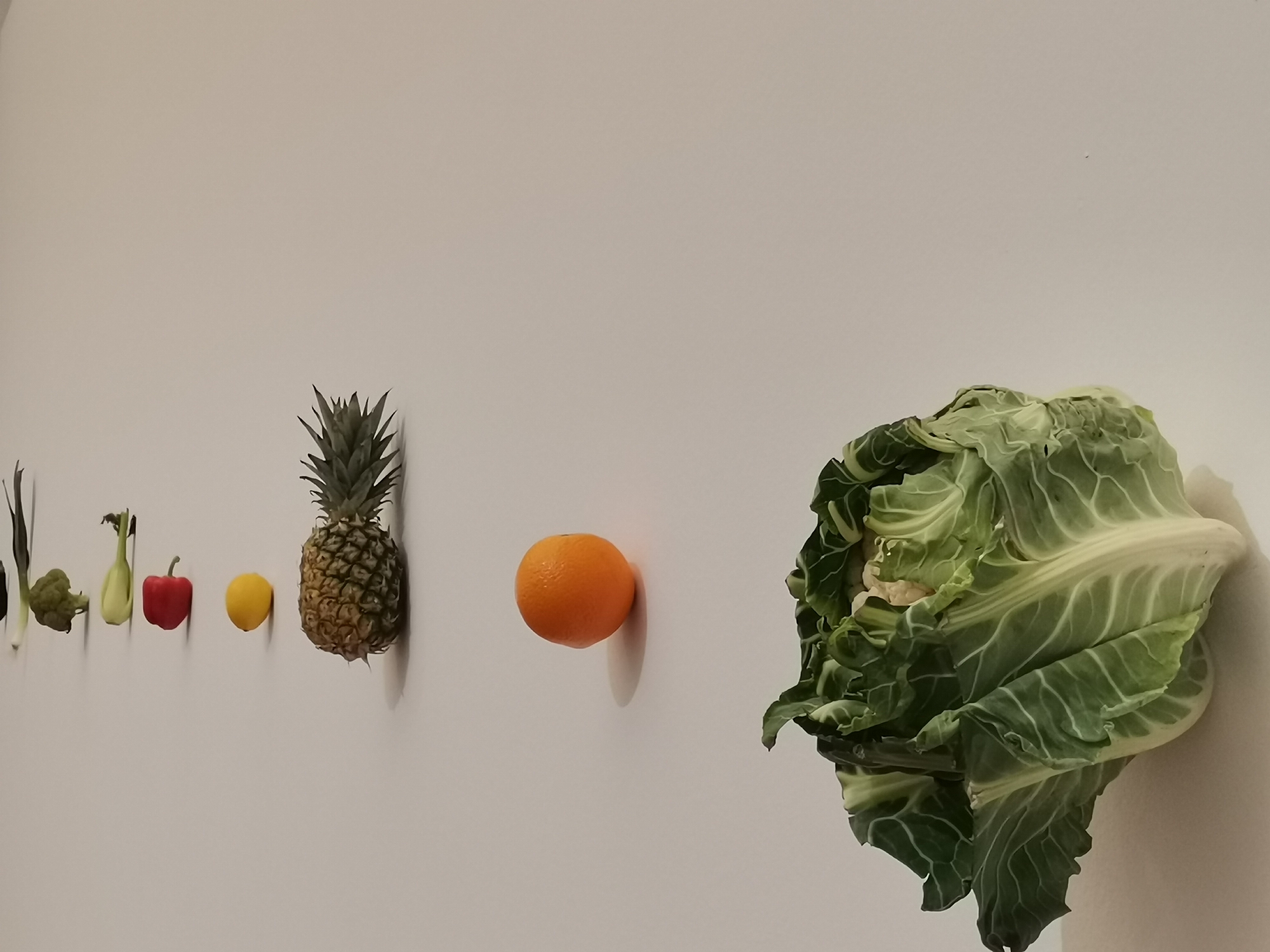 Museum Frieder Burda - aktuelle Ausstellung